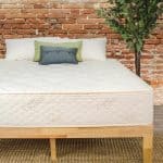 The Best Organic Latex Mattress Options - Sleep Solutions HQ